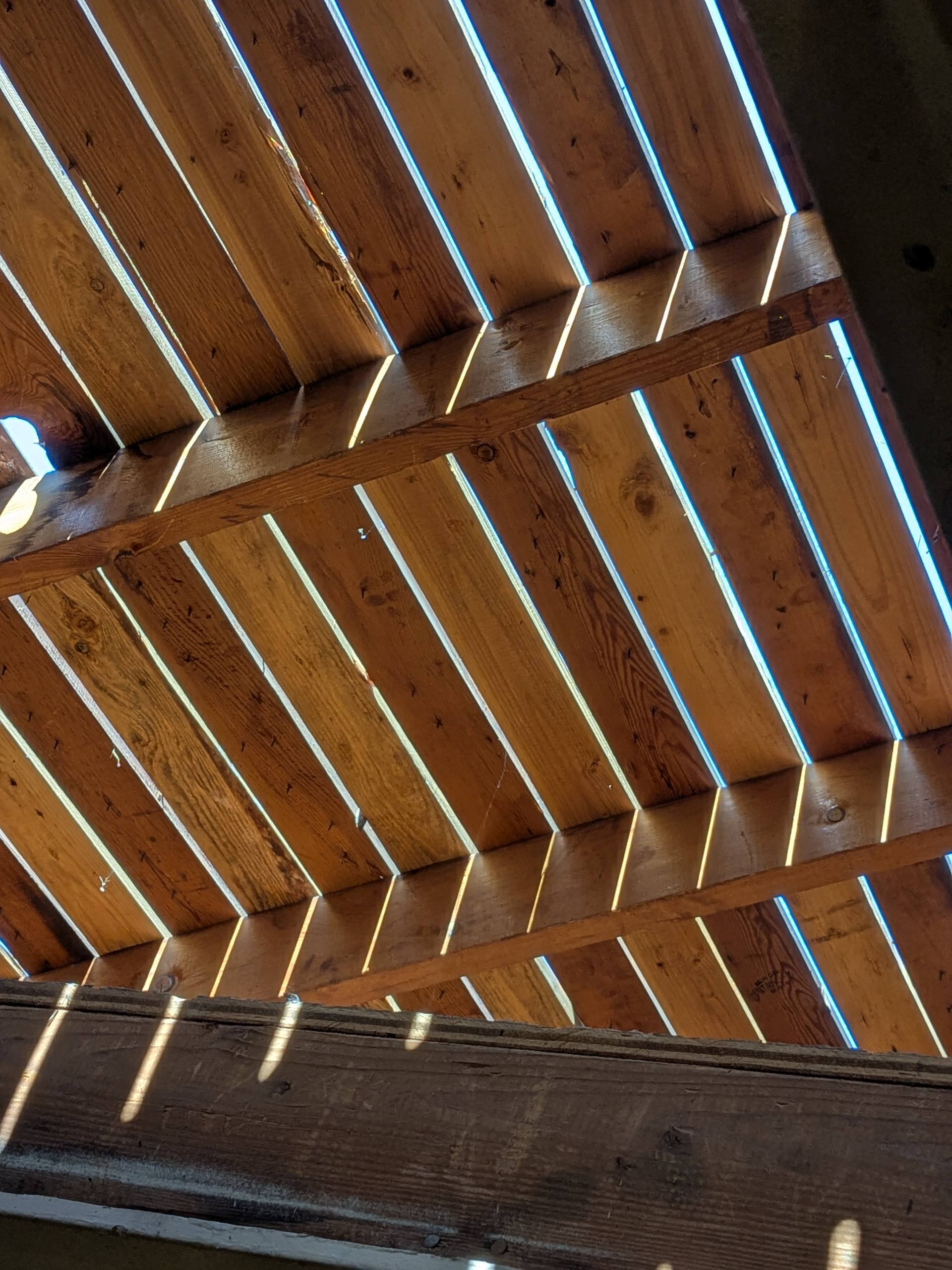 Contemplating the Future with a Roof over My Head. – Monica's Monday ...